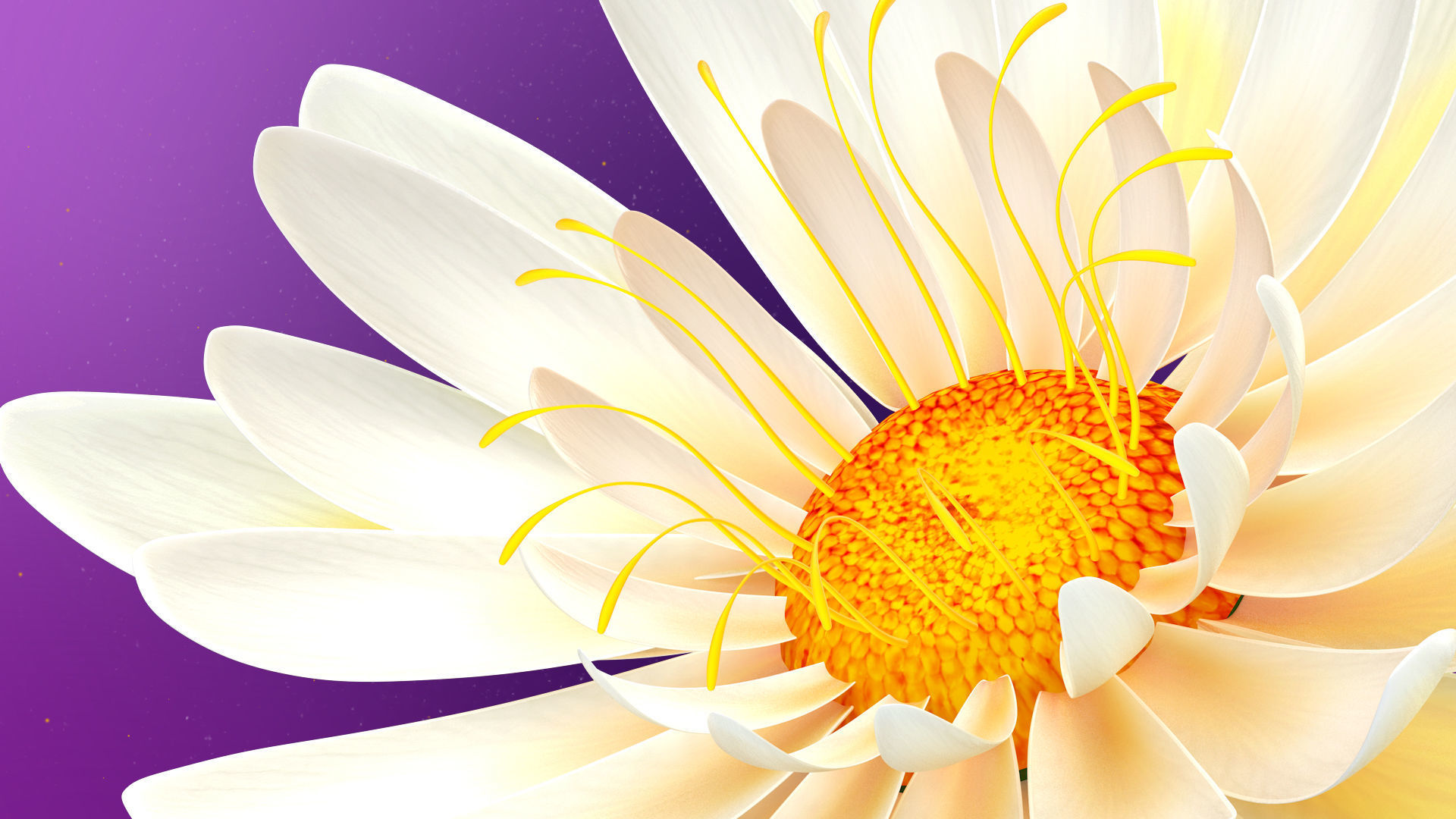 Beautiful Animated White Daisy Flower 3D model animated rigged | CGTrader