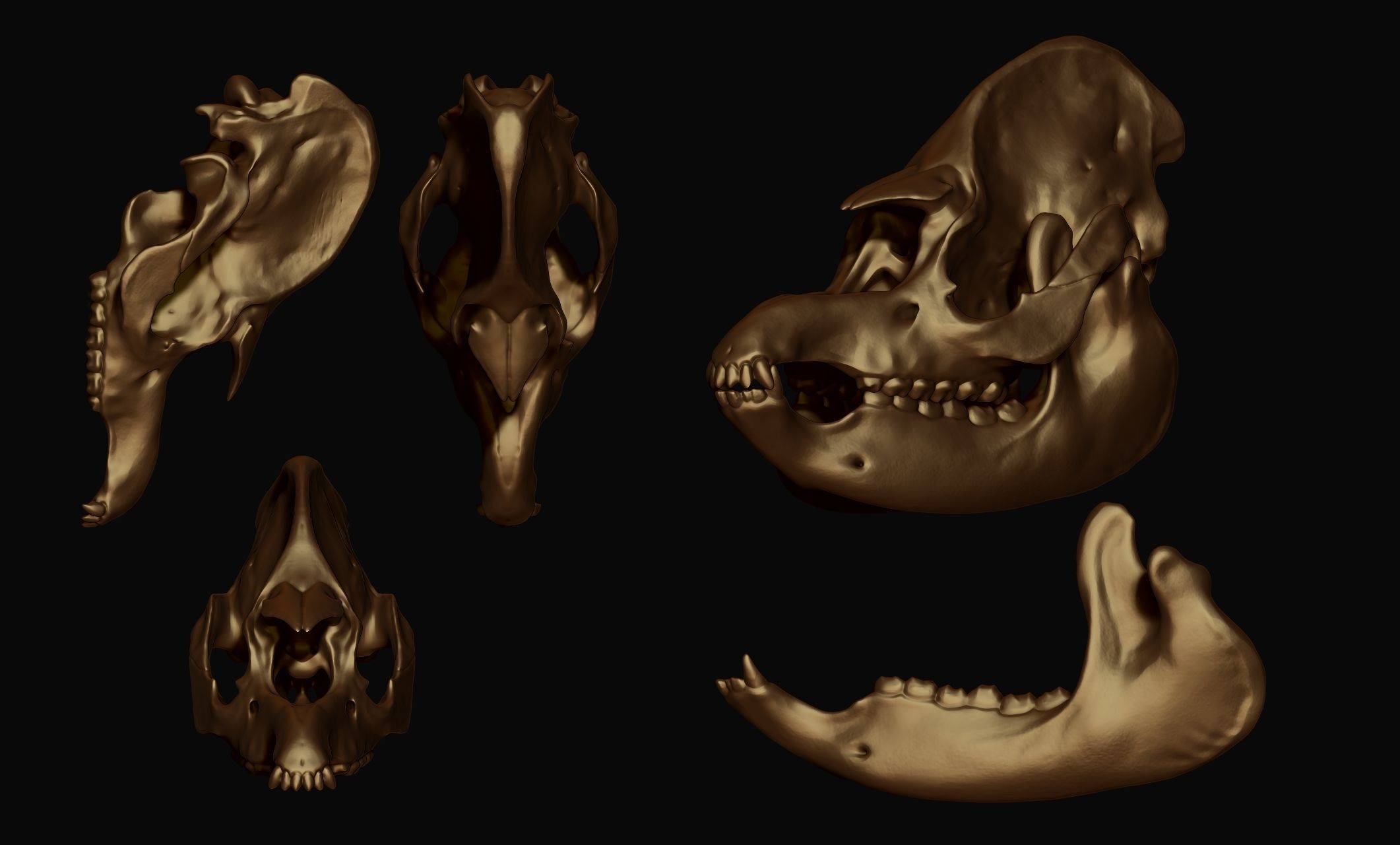 Tapir - Tapirus Skull 3D model 3D printable | CGTrader