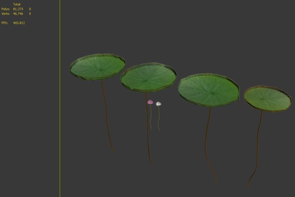 Victoria water lily 3D model | CGTrader