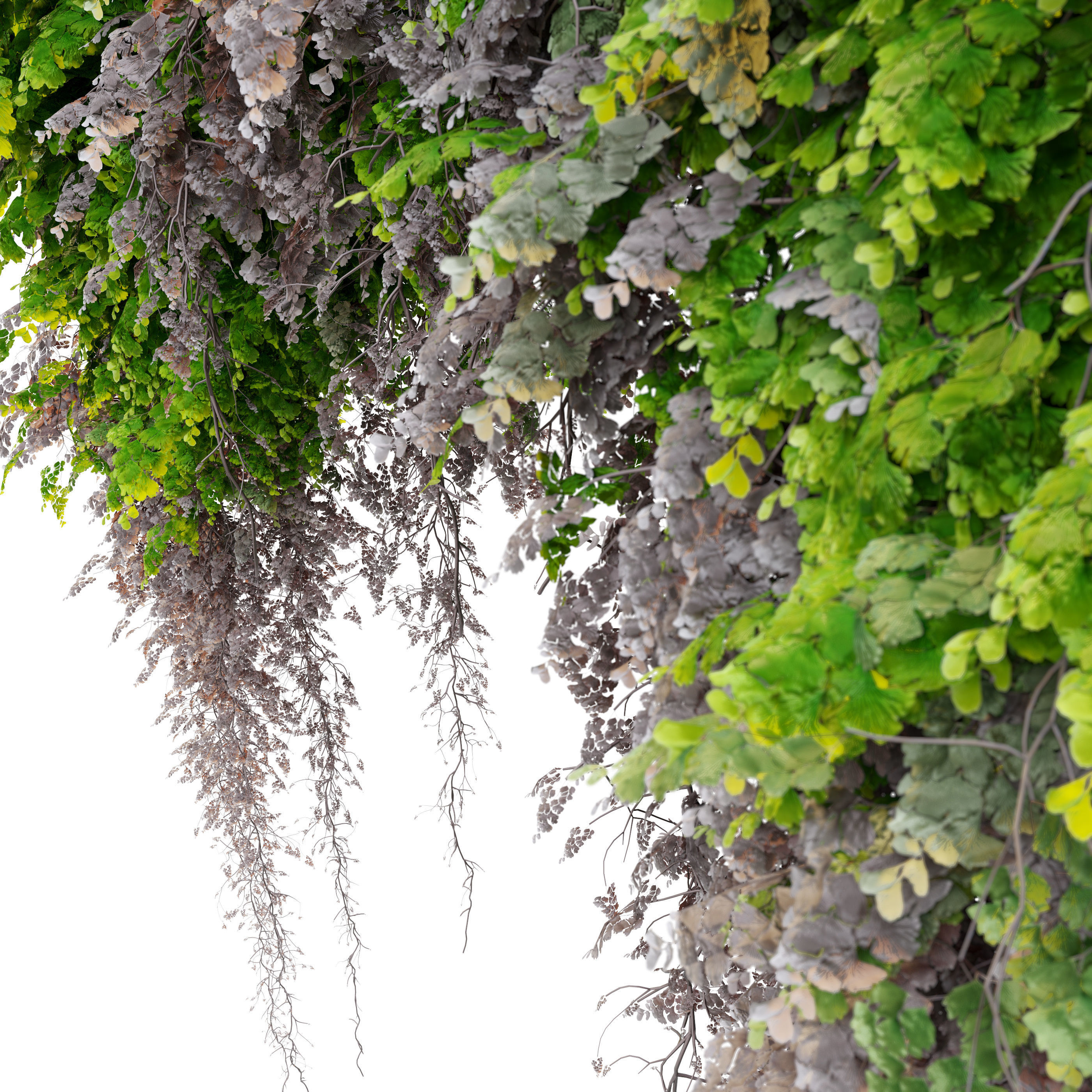 Hanging Plant 39 3D model | CGTrader