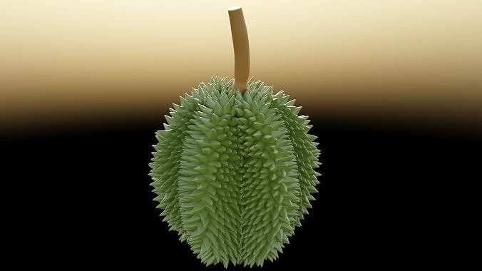 Durian 3D model | CGTrader