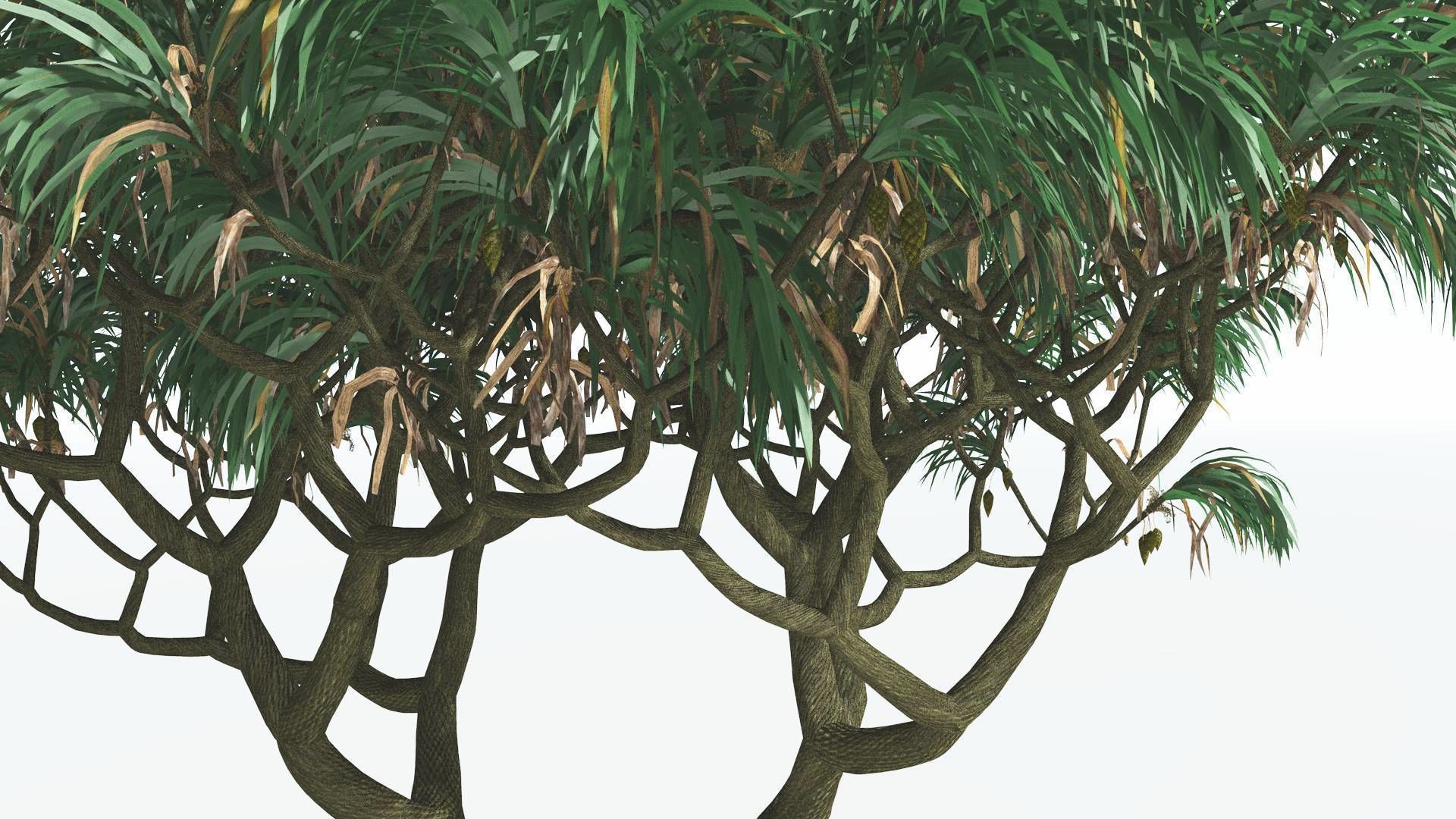 EVERYPlant Lepidodendron Scale Tree 2 --14 Models-- 3D model | CGTrader