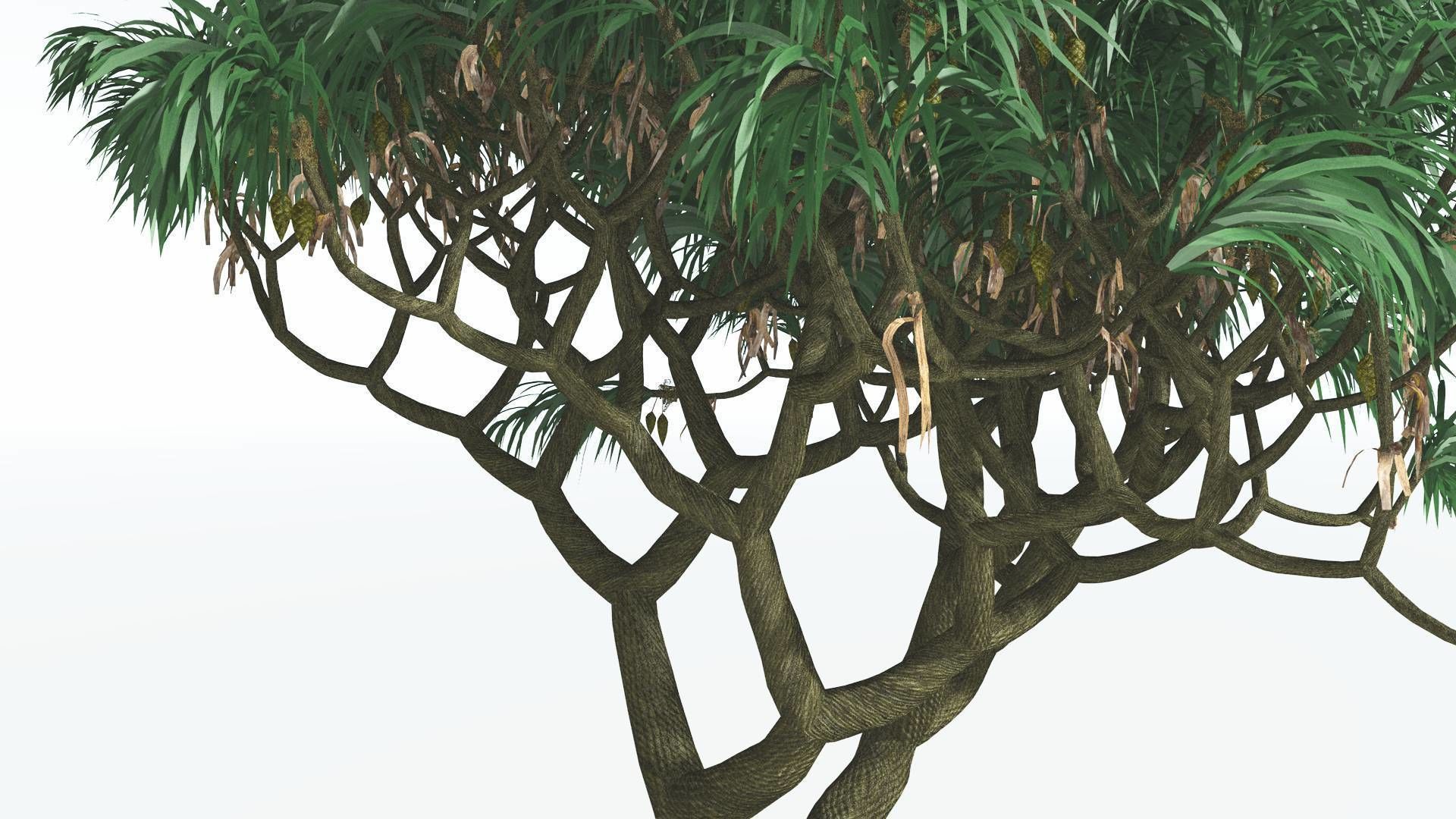 EVERYPlant Lepidodendron Scale Tree 3 --14 Models-- 3D model | CGTrader