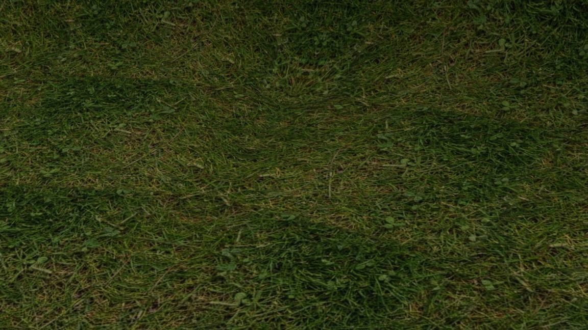 grass texture free Texture | CGTrader