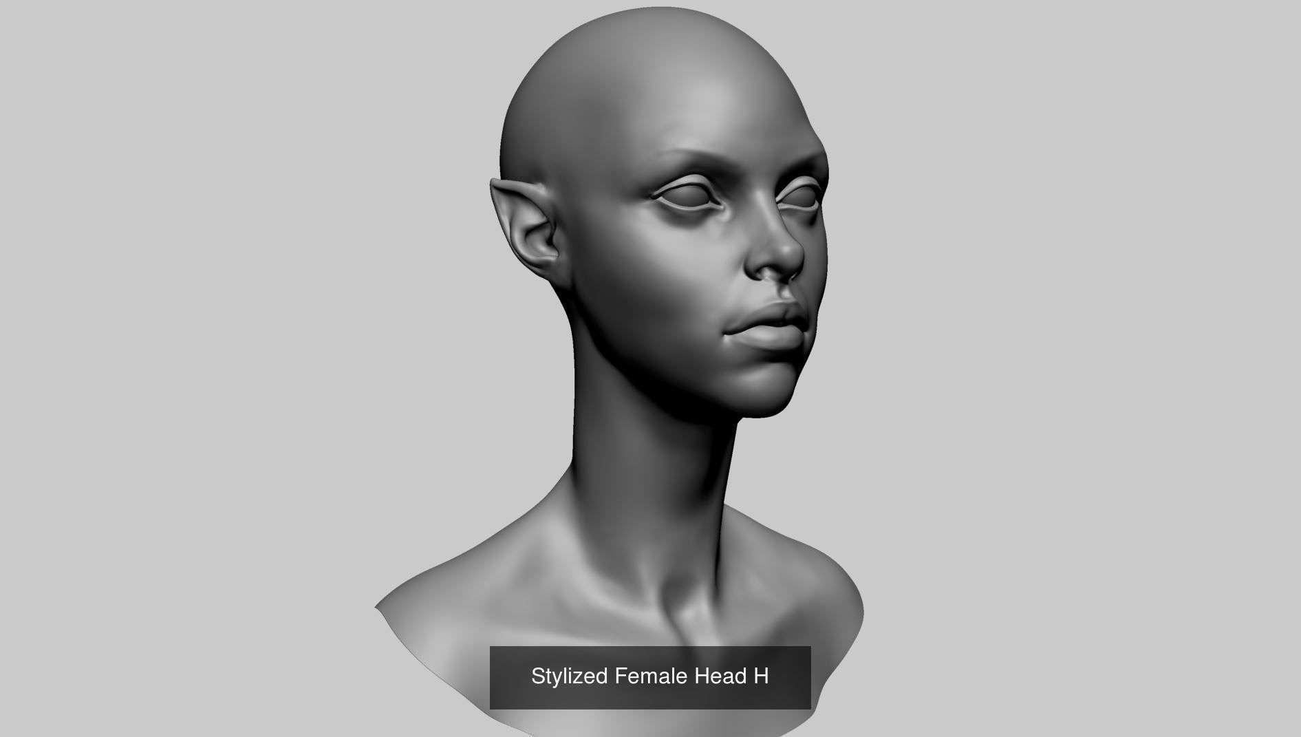 25 Female Head Models 3D Model Collection | CGTrader