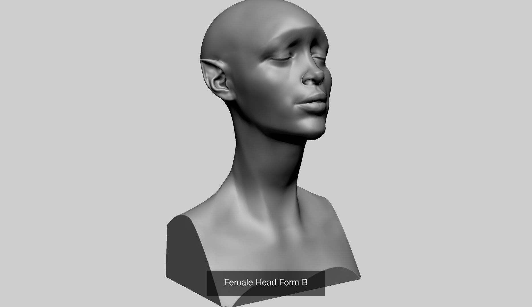 25 Female Head Models 3D Model Collection | CGTrader