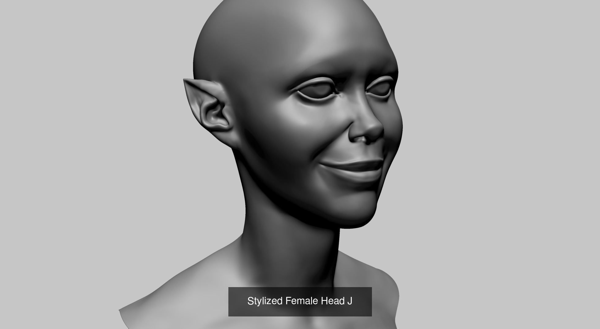 25 Female Head Models 3D Model Collection | CGTrader