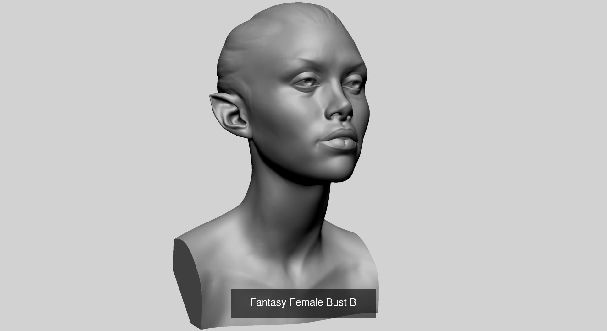 25 Female Head Models 3D Model Collection | CGTrader