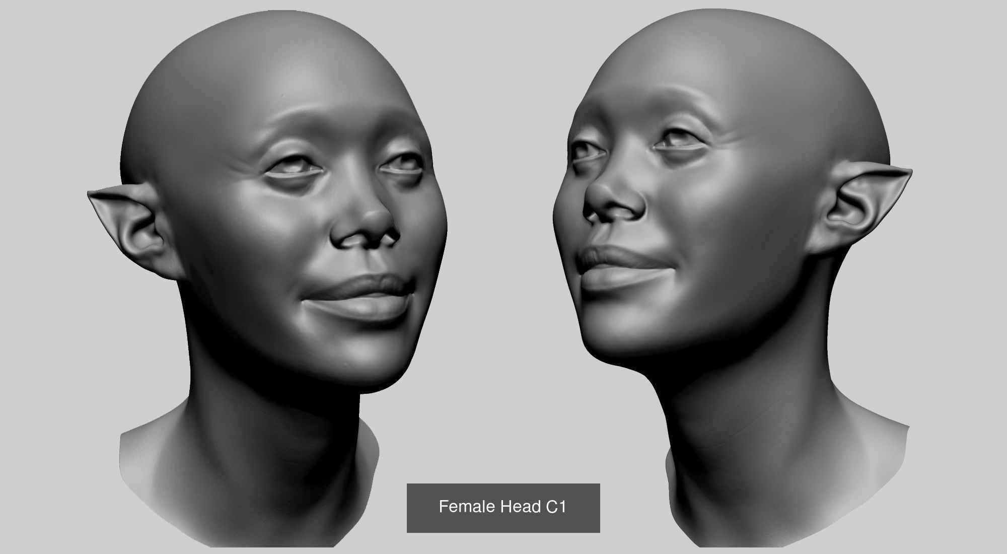 25 Female Head Models 3D Model Collection | CGTrader