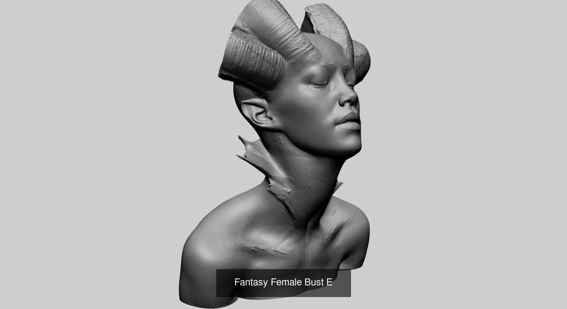 25 Female Head Models 3D Model Collection | CGTrader