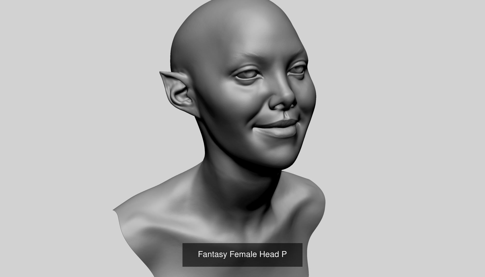 25 Female Head Models 3D Model Collection | CGTrader