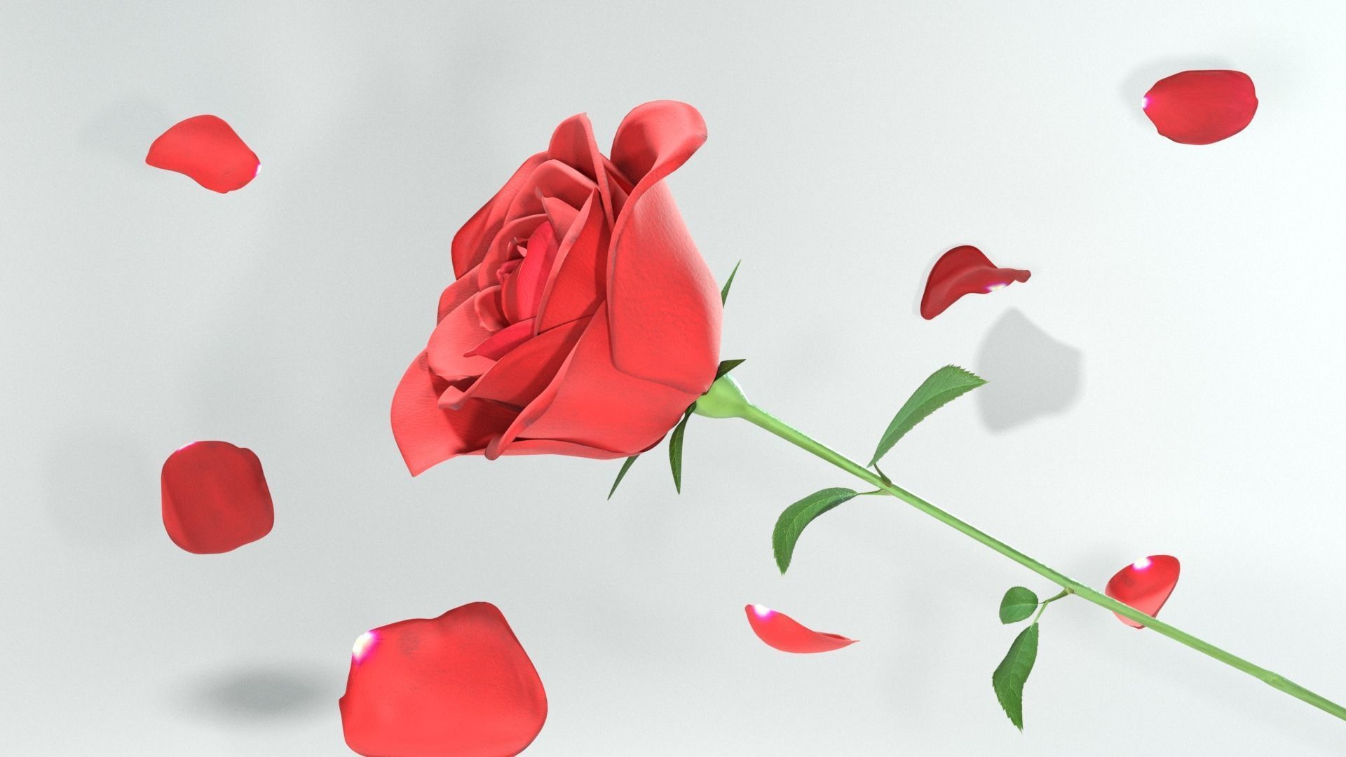 Red Rose 3D model | CGTrader