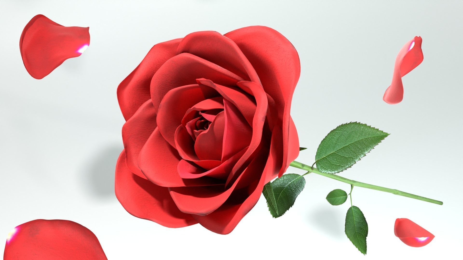 Red Rose 3D model | CGTrader