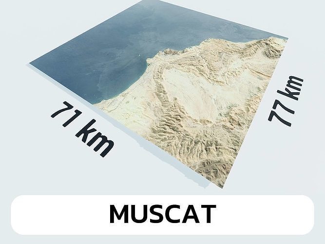 Muscat Oman City Landscape 3D Model 3D model | CGTrader