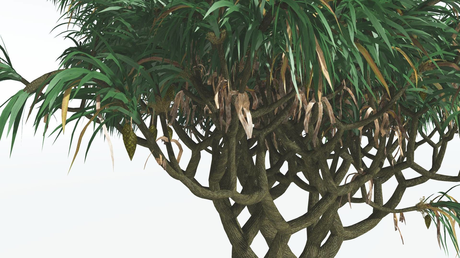 EVERYPlant Lepidodendron Scale Tree 4 --14 Models-- 3D model | CGTrader