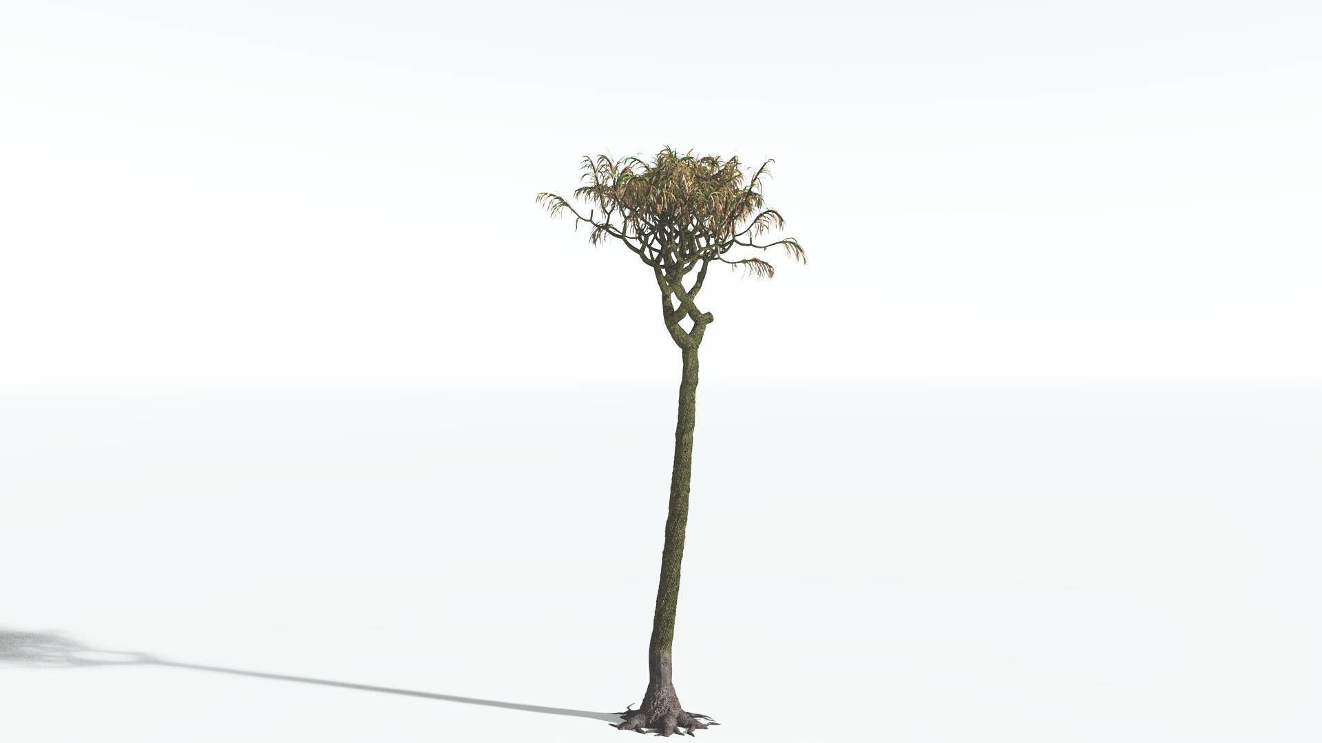 EVERYPlant Lepidodendron Scale Tree 4 --14 Models-- 3D model | CGTrader