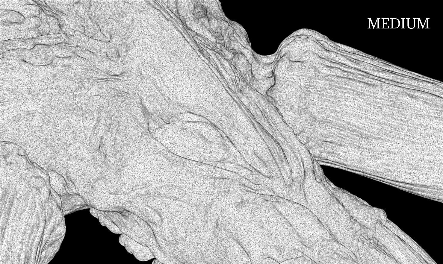 3D PRINTABLE MYTHOSAUR SKULL SORGAN FROG WALKING THE MANDALORIAN 3D ...