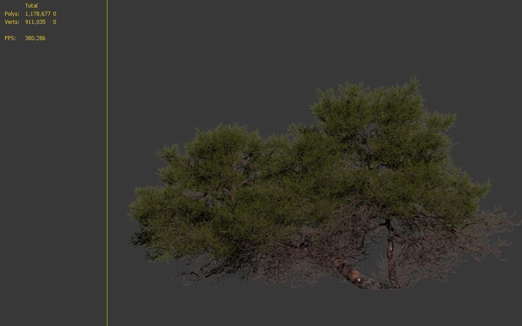 Japanese red pine 3D model | CGTrader