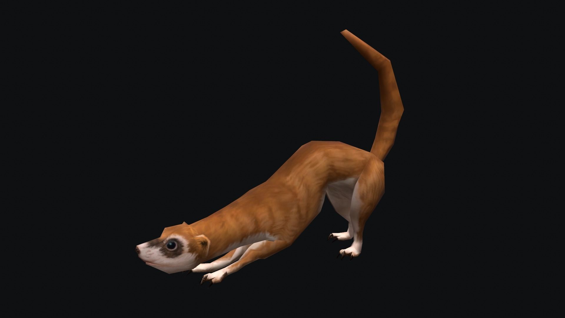 3D model animated weasel VR / AR / low-poly | CGTrader