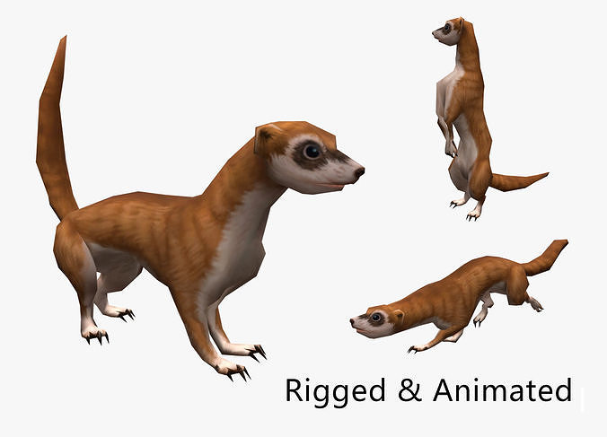 3D model animated weasel VR / AR / low-poly | CGTrader