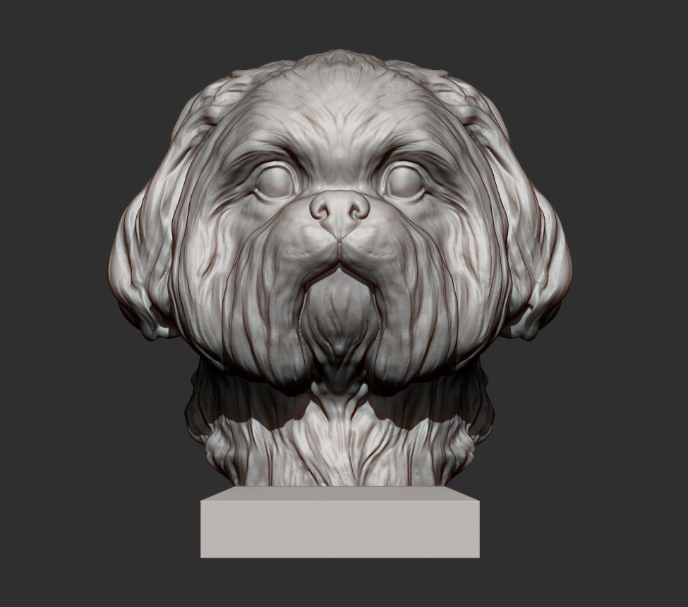 British Shih Tzu 3D model 3D printable | CGTrader