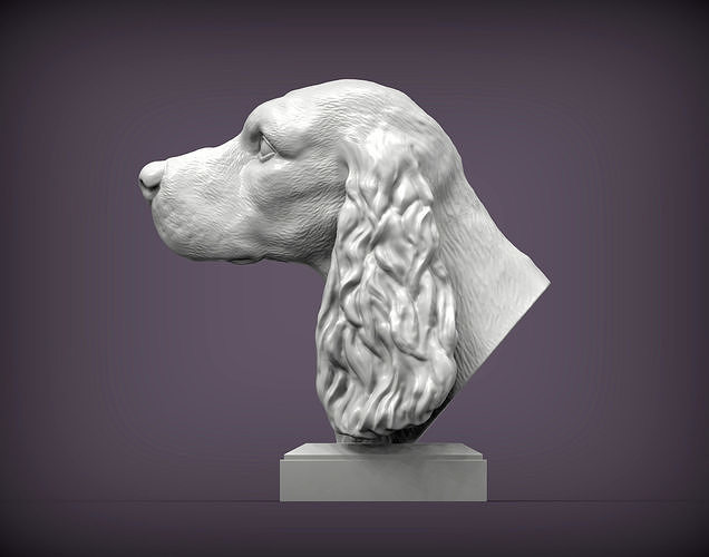 English Cocker Spaniel 3D model 3D printable | CGTrader
