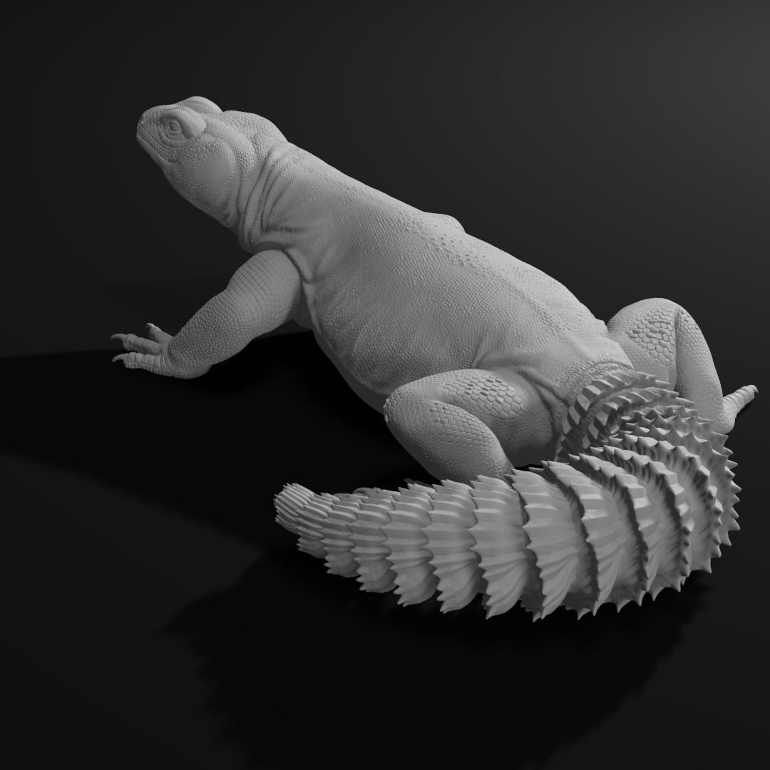 Uromastyx - Spiny Tailed Lizard - Pet Reptile 3d print model 3D model ...