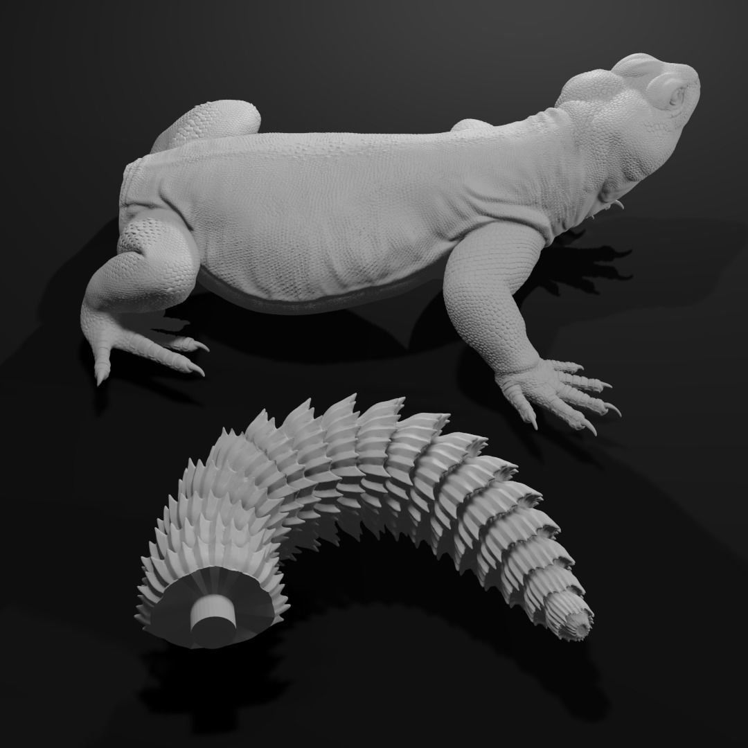 Uromastyx - Spiny Tailed Lizard - Pet Reptile 3d print model 3D model ...