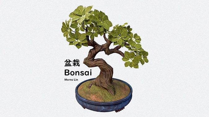3D model Japanese Bonsai Pot Plant VR / AR / low-poly | CGTrader