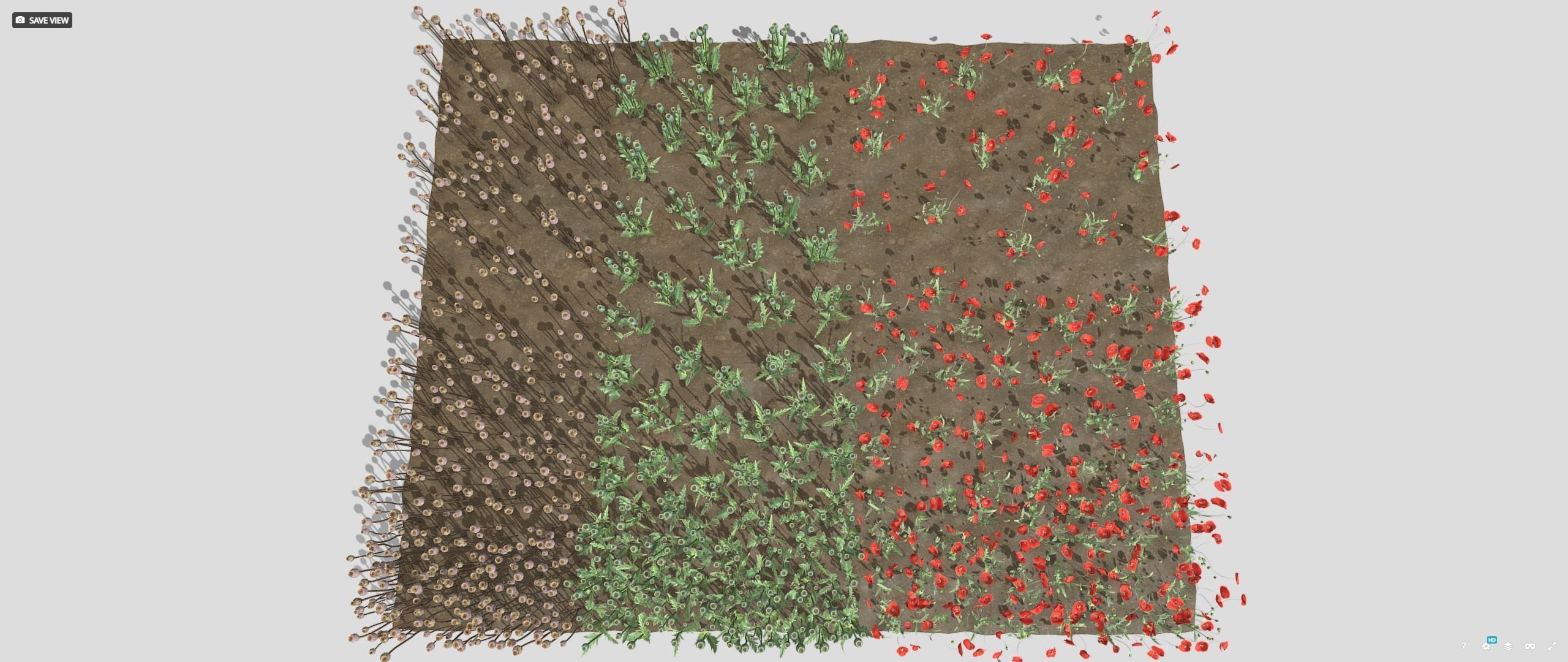 Poppy Field 3D model | CGTrader