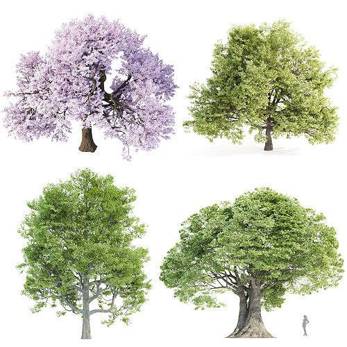 Collection of trees 3D Model vol 9 | CGTrader