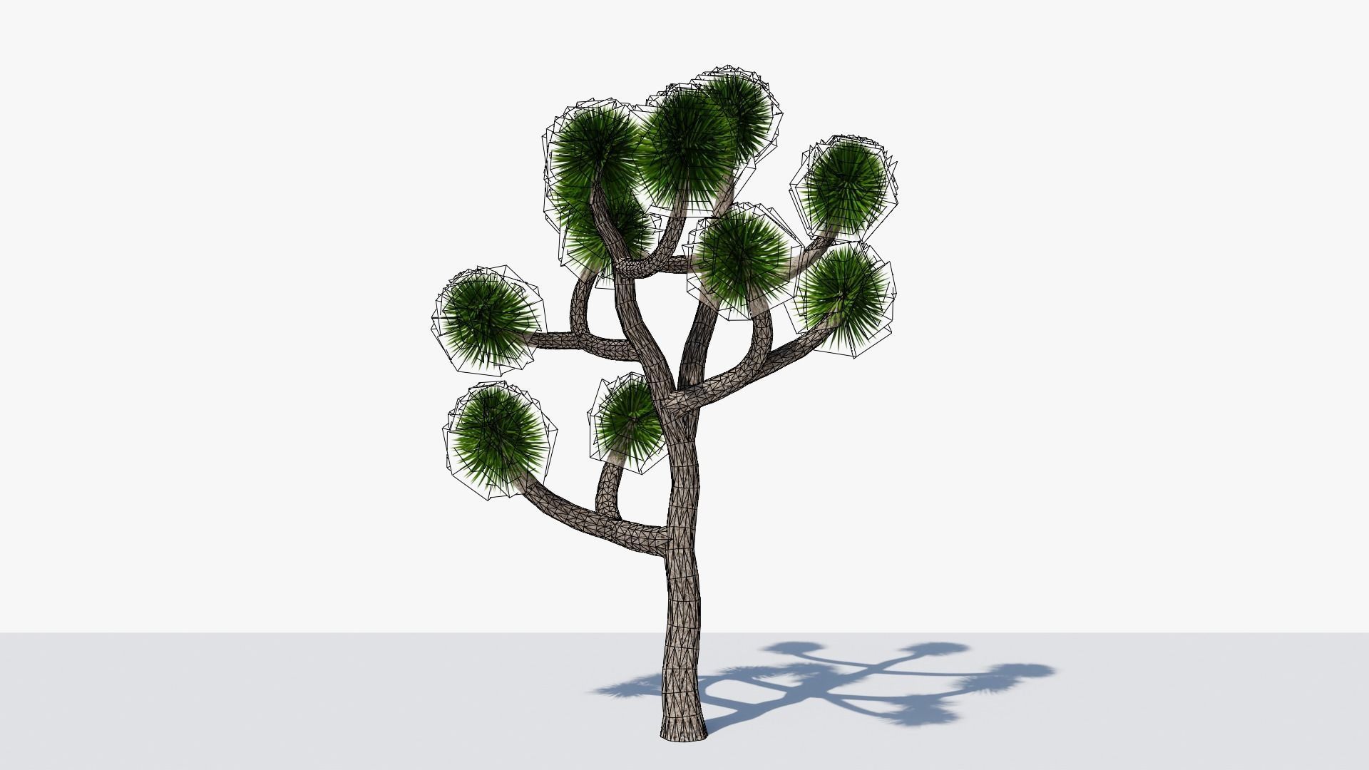 3D model Joshua Tree or Yucca Palm v4 VR / AR / low-poly | CGTrader