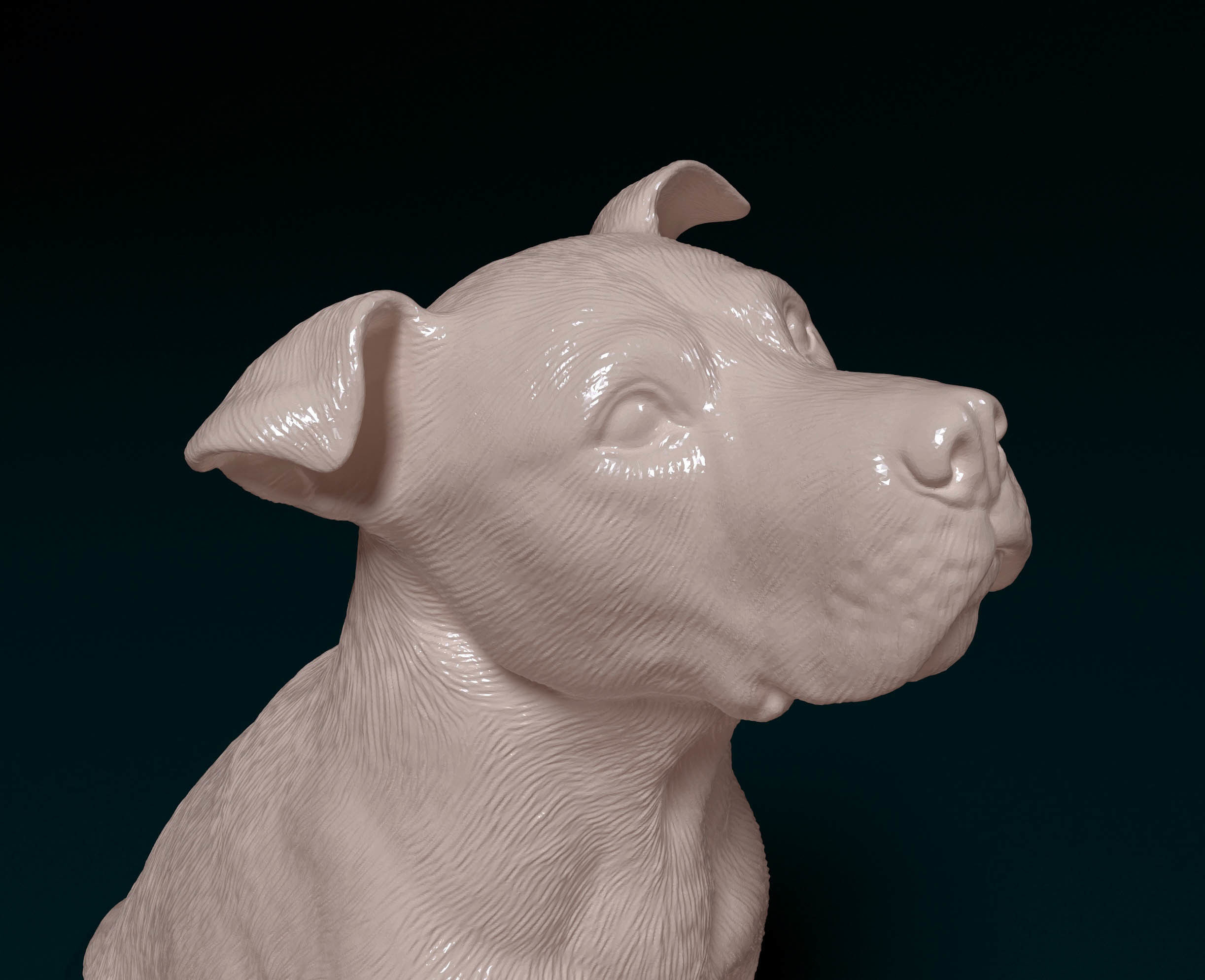 Pitbull 06 3D model 3D printable | CGTrader
