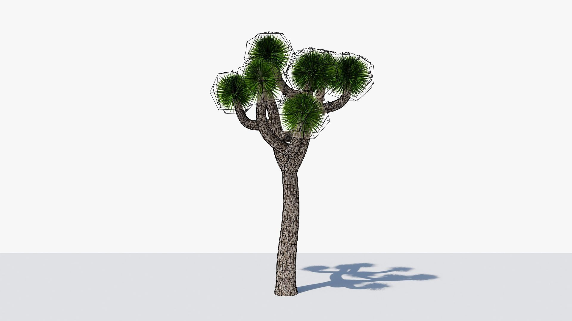 3D model Joshua Tree or Yucca Palm v5 VR / AR / low-poly | CGTrader