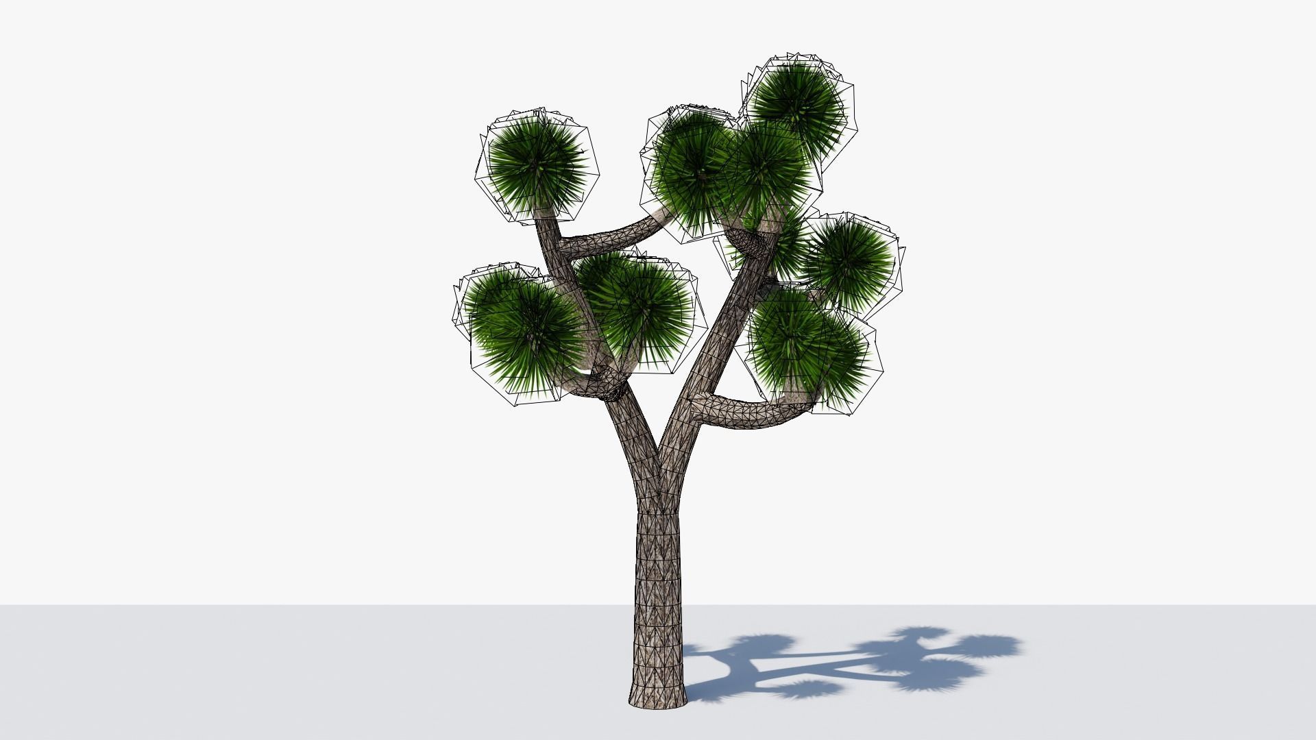 3D model Joshua Tree or Yucca Palm v6 VR / AR / low-poly | CGTrader