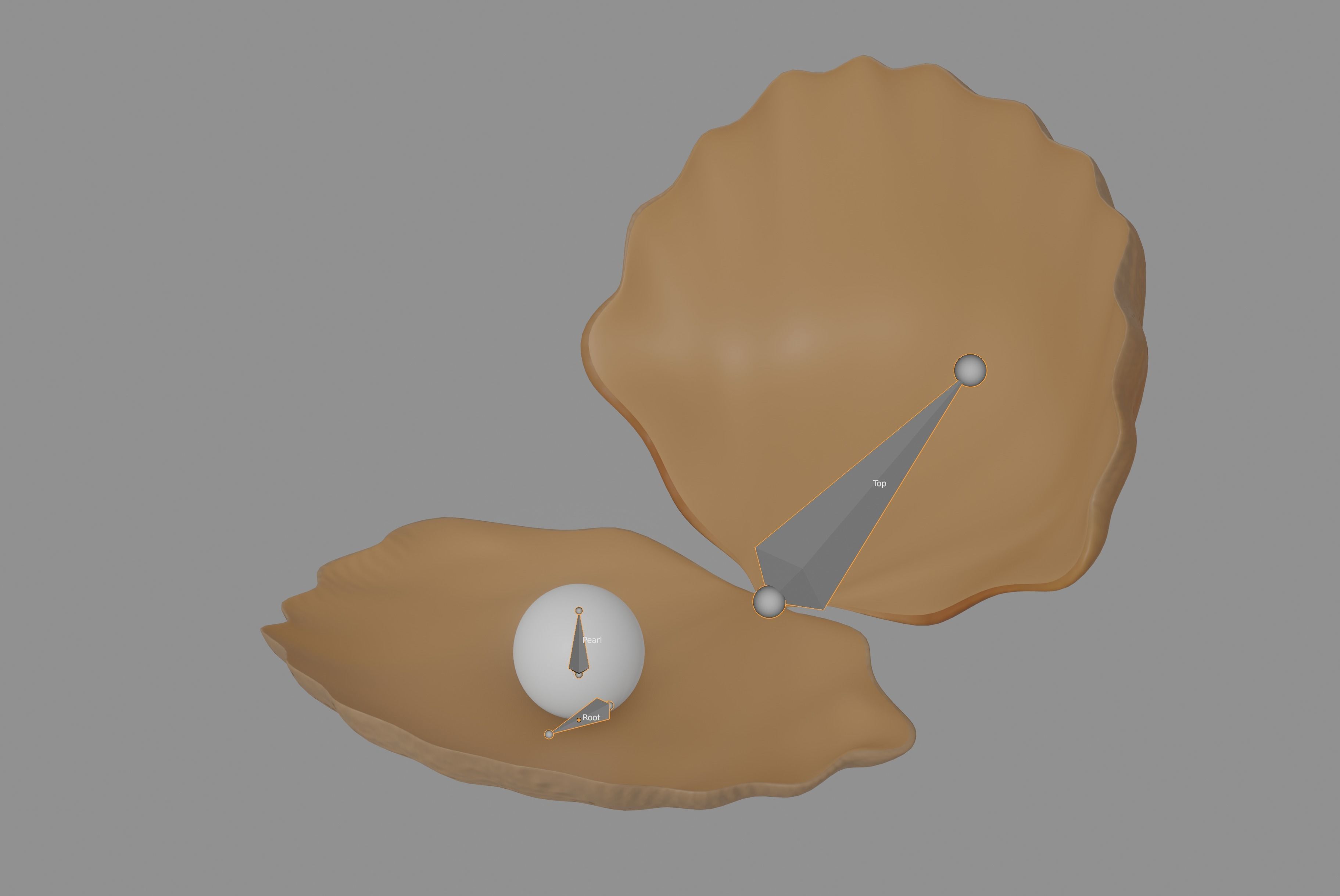3D model Oyster Clam VR / AR / low-poly | CGTrader