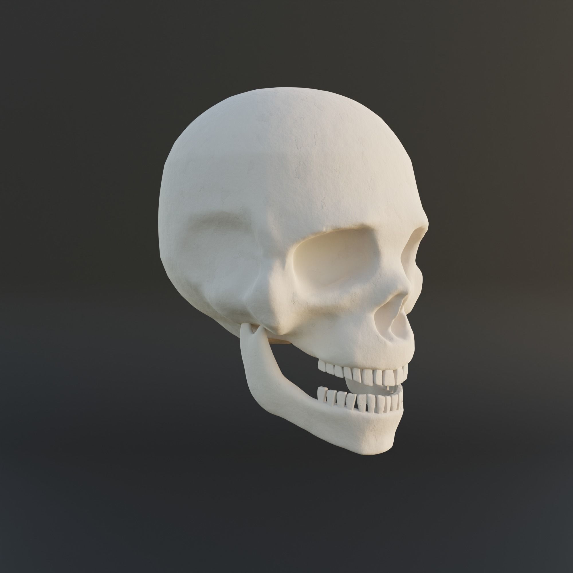 Normal and Decayed Skull - 3D Model 3D model | CGTrader