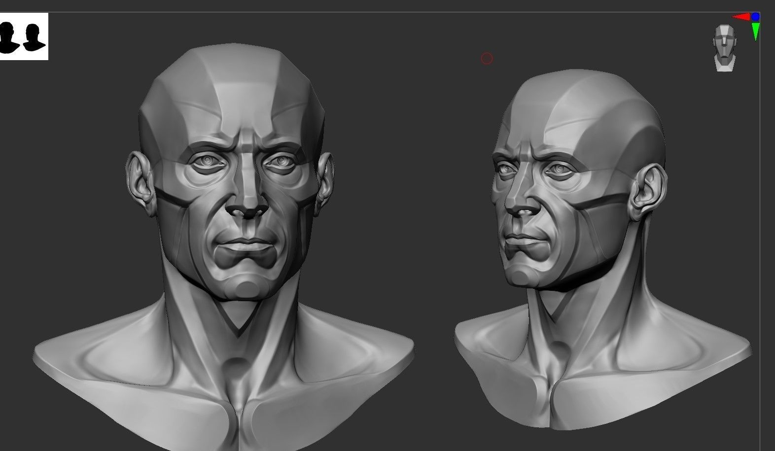 Planar Head Anatomy 3D model | CGTrader