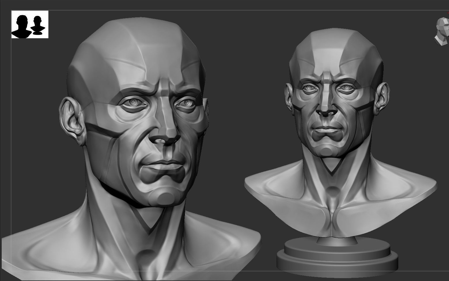 Planar Head Anatomy 3D model | CGTrader