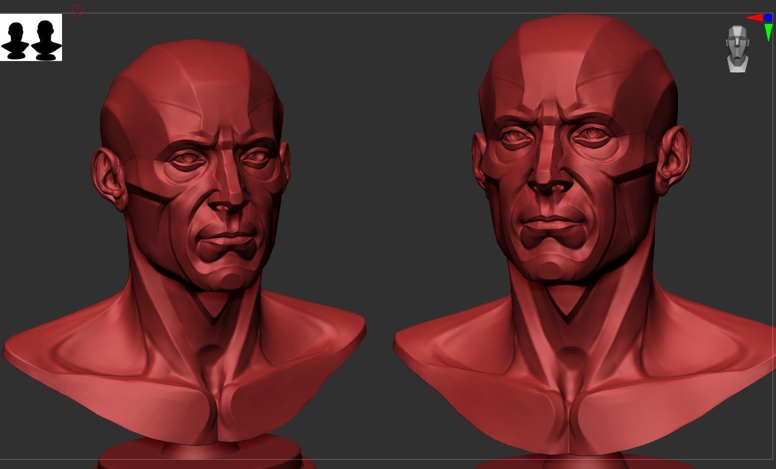 Planar Head Anatomy 3D model | CGTrader