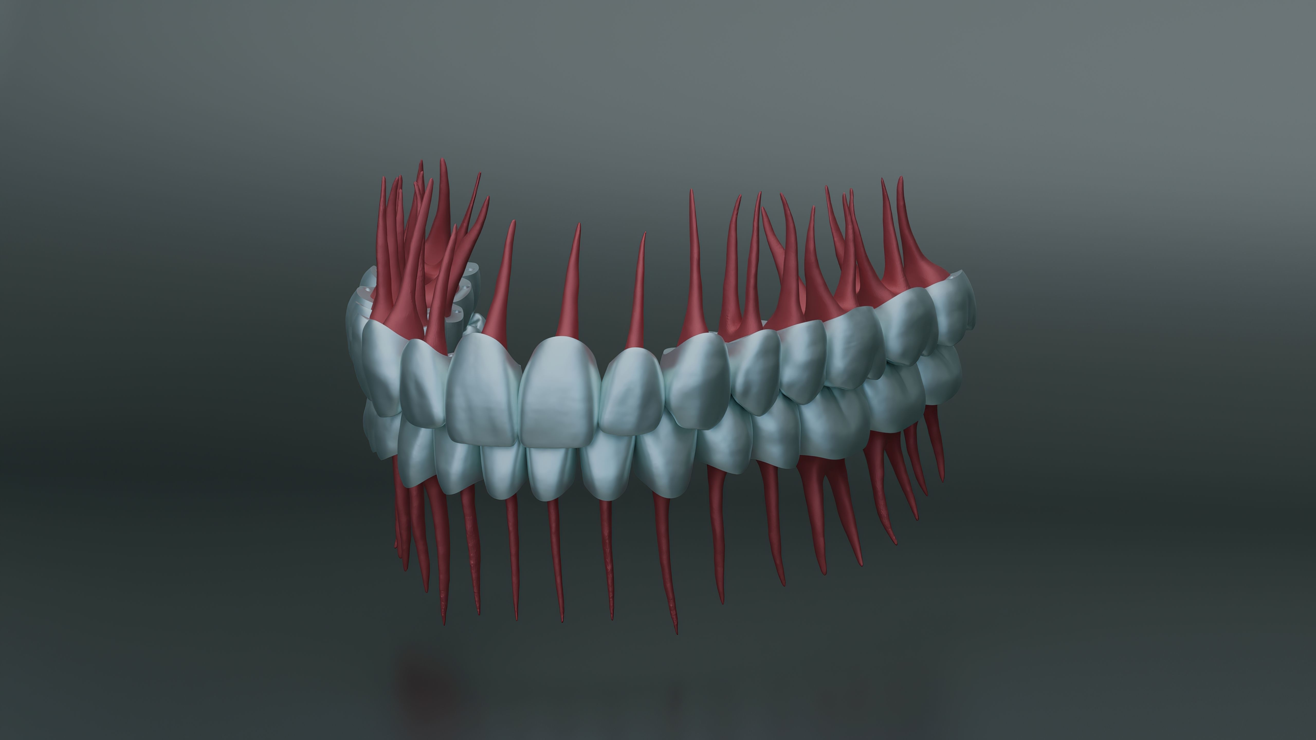 Dental Anatomy and Root Structures 3D model 3D printable | CGTrader