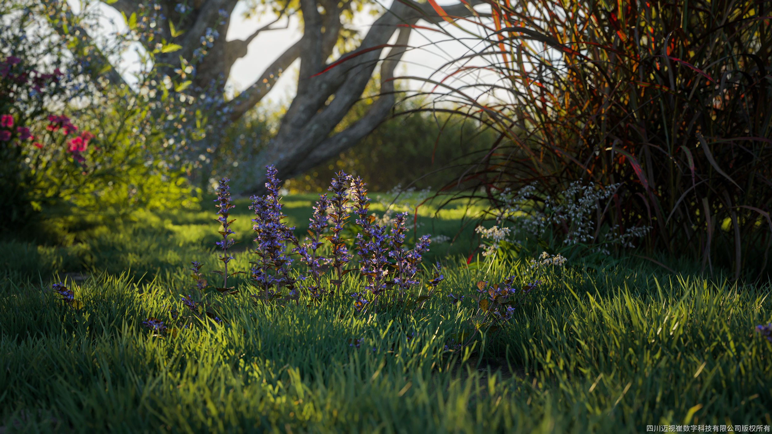 Maxtree Plant Models Vol 49 - Mesh 3D model | CGTrader