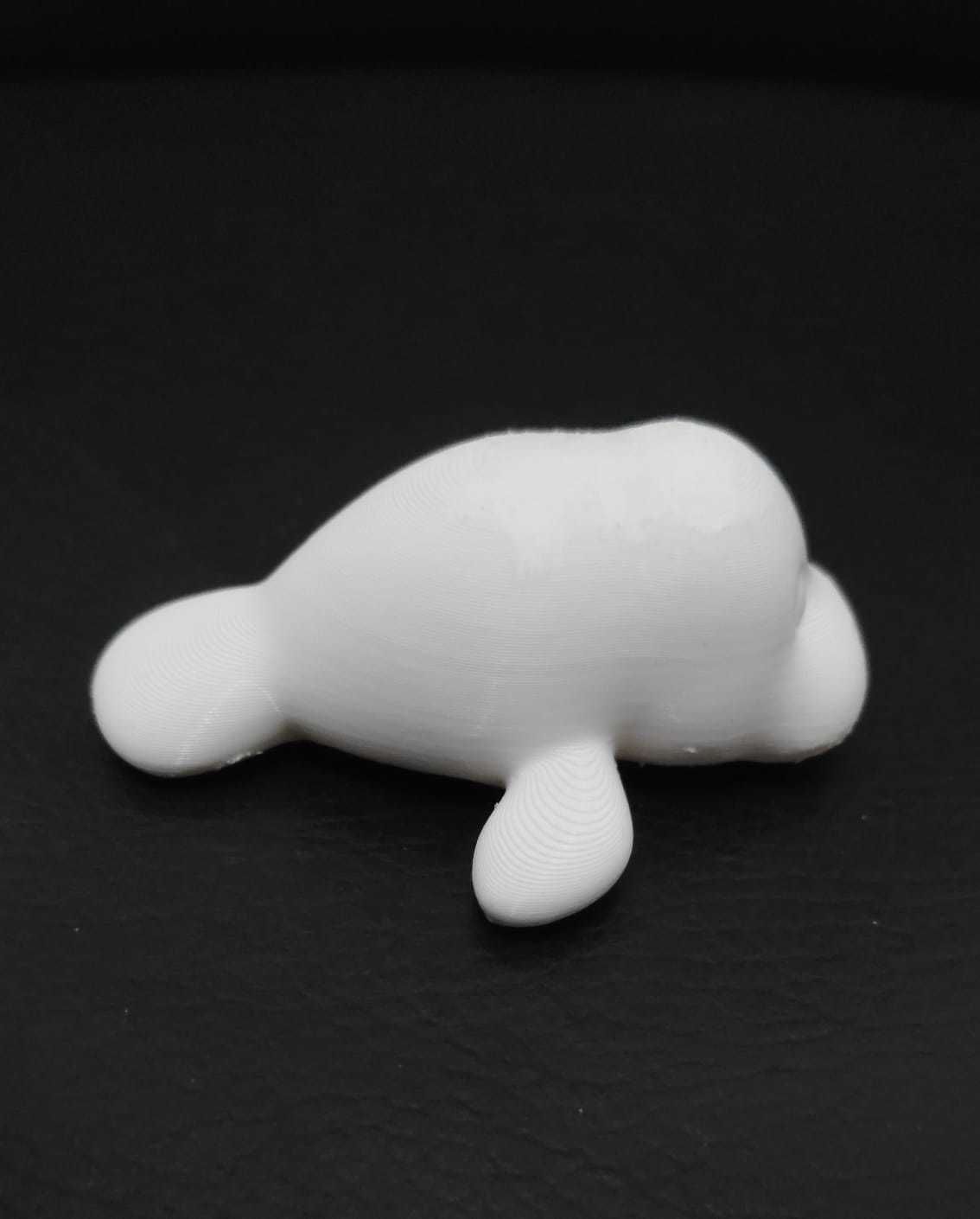 Manatee 3D model 3D printable | CGTrader