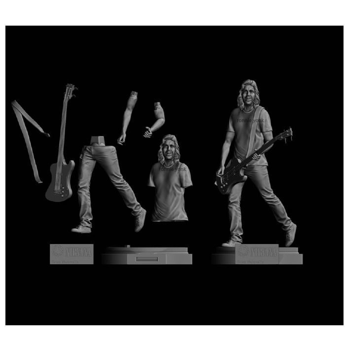 Krist Novoselic -nirvana 3dprinting 3D model 3D printable | CGTrader
