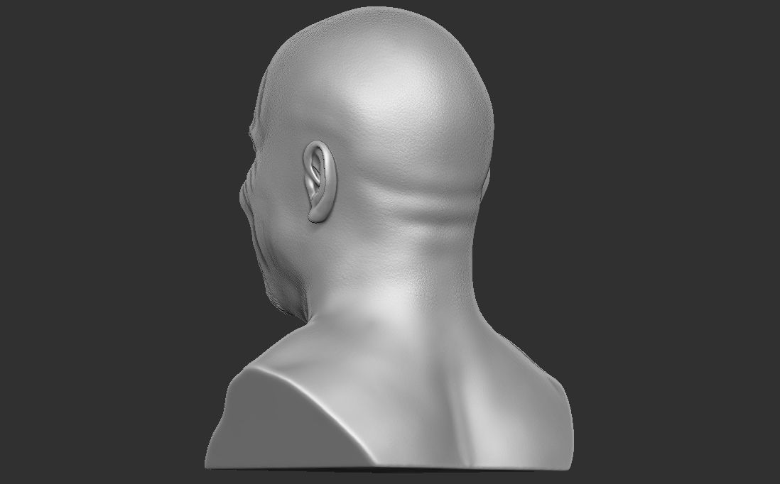 Terry Crews bust for 3D printing 3D model 3D printable | CGTrader