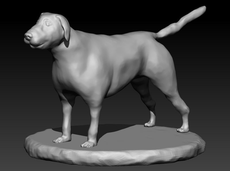 labrador 3D model 3D printable | CGTrader