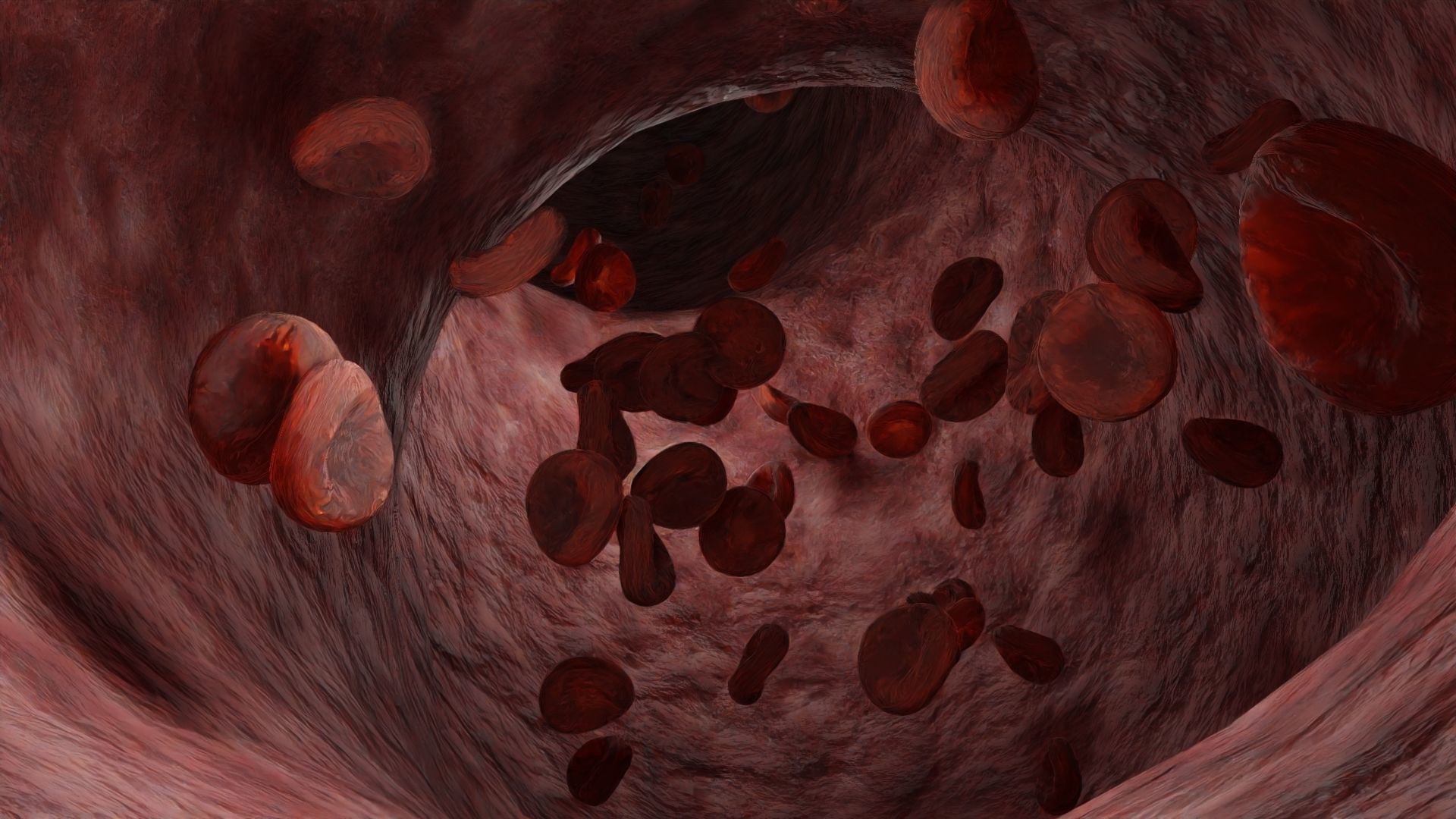 Animated Blood Cells in a Vein free 3D model animated | CGTrader