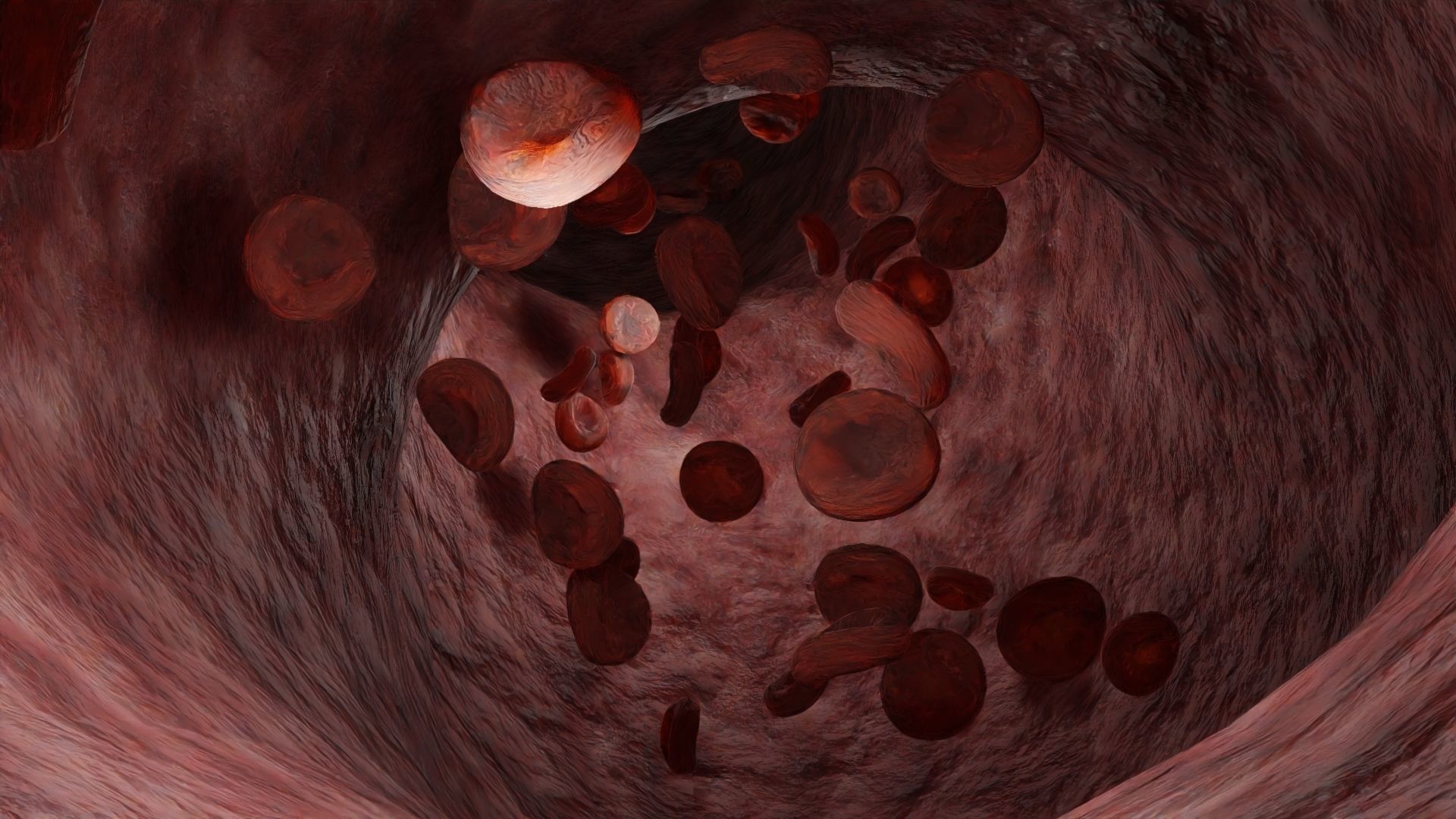 Animated Blood Cells in a Vein free 3D model animated | CGTrader