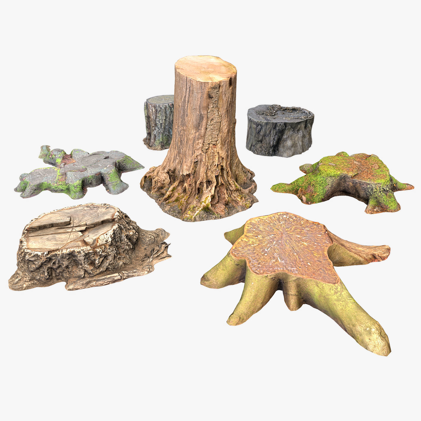 3D model Photorealistic Tree Stumps with LODs VR / AR / low-poly | CGTrader