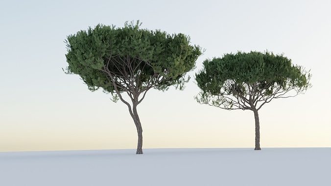 Tree 2 3D model | CGTrader